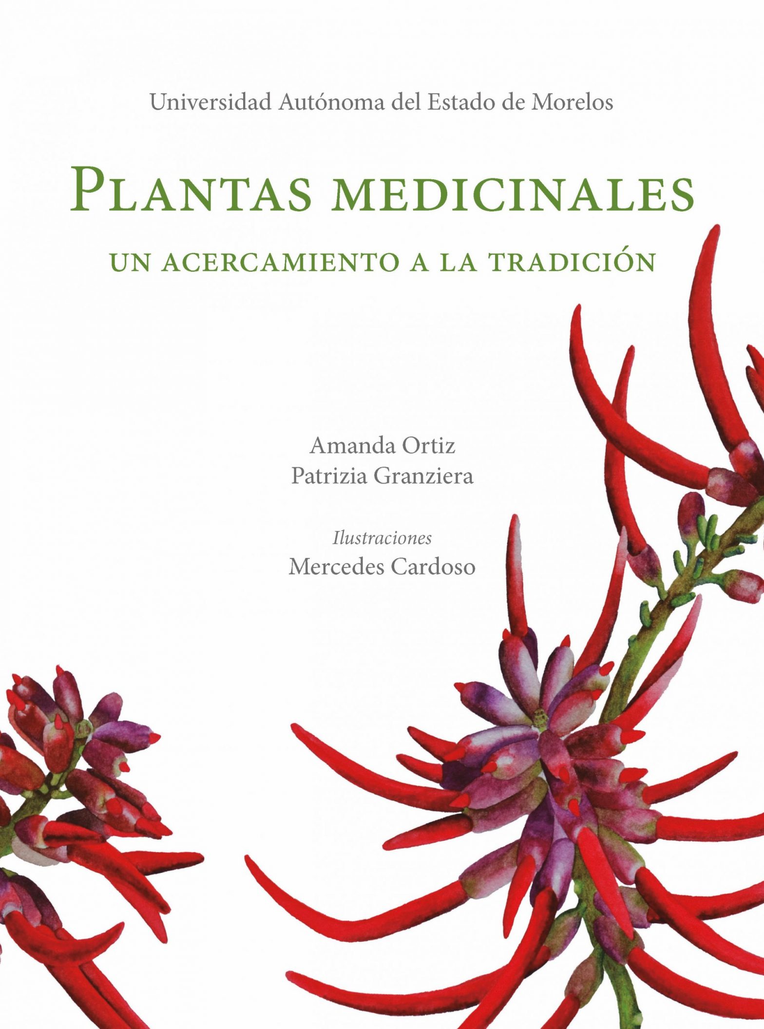 Plantas medicinales. Un acercamiento a la tradición – Libros UAEM
