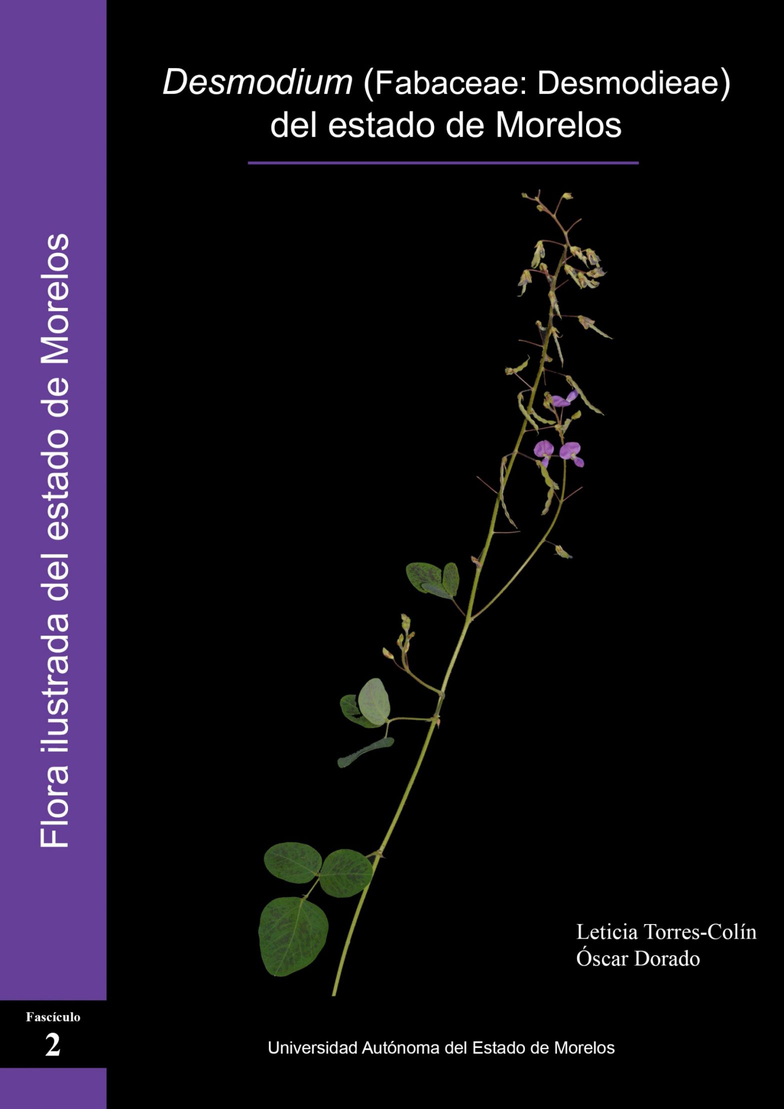 Desmodium (Fabaceae: Desmodieae) del estado de Morelos – Libros UAEM